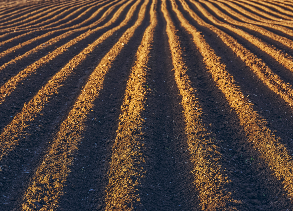 Farm & Ranch Airstrip Construction in Aledo, Weatherford, Abilene, Texas